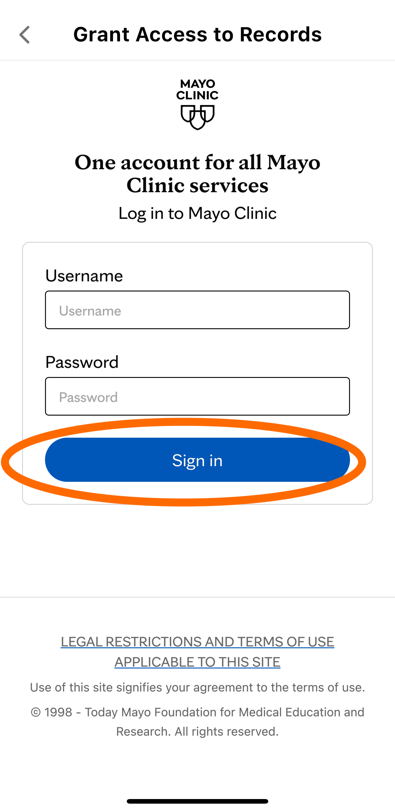 How do I add my medical history to wisepatientAI? – wisepatientAI Support Center